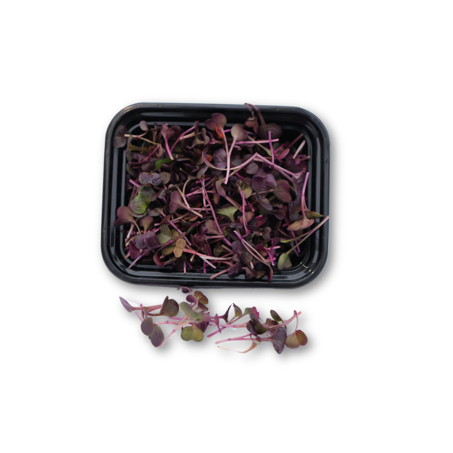 Microgreen Seeds - Buy Organic Microgreens Online in India